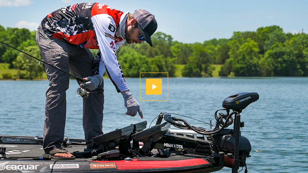 Humminbird® Introduces MEGA Live Imaging™, Delivering the Detail and ...