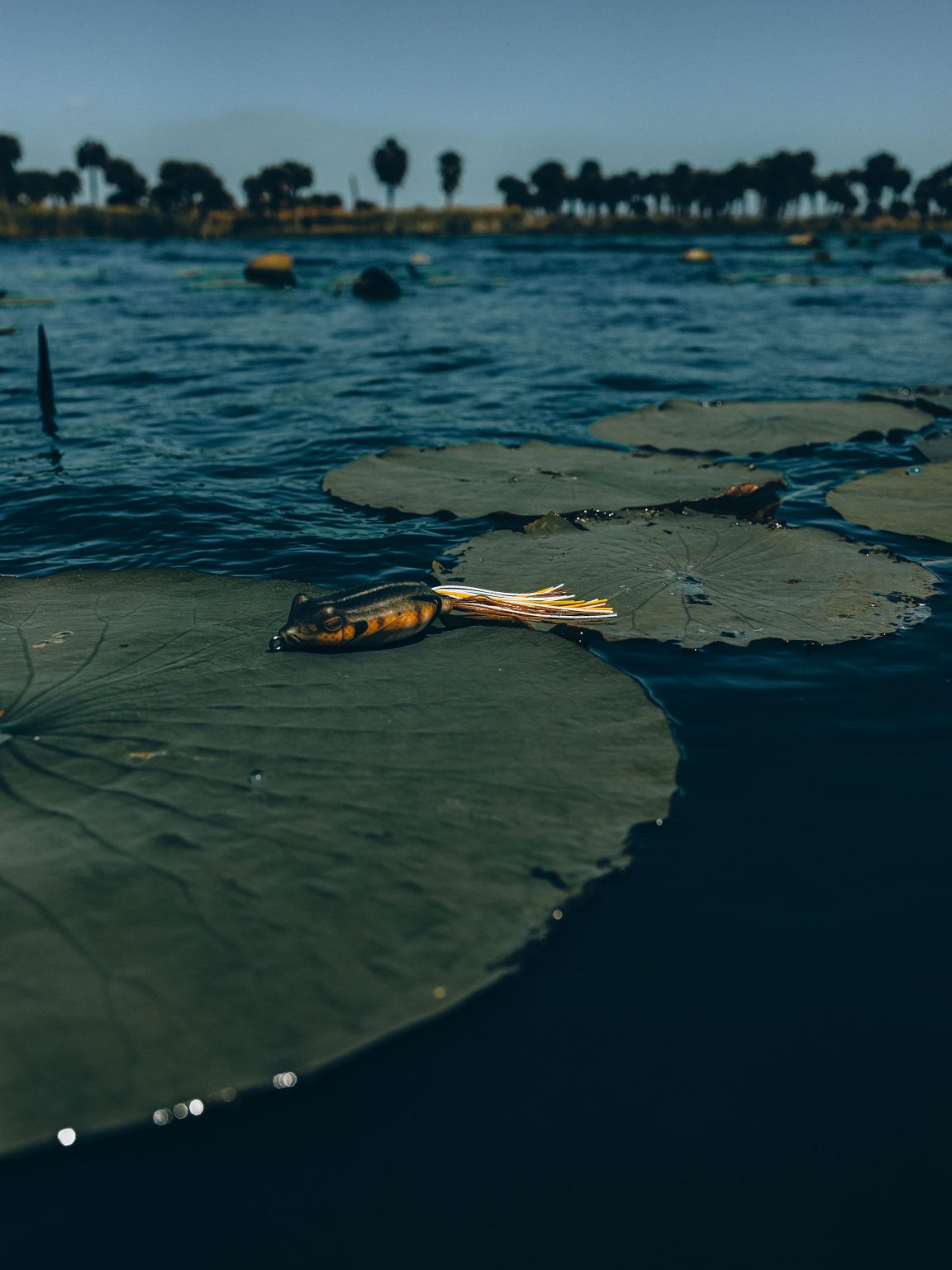 Snag Proof Returns with Reengineered Bobby’s Perfect and Phat Frogs ...