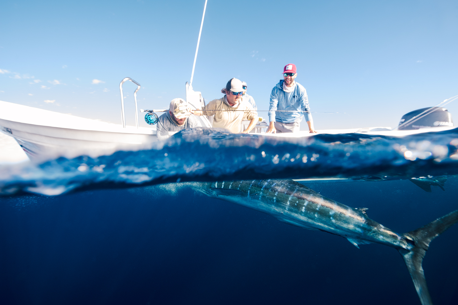 Costa Sunglasses pioneers first recorded billfish research tagging ...